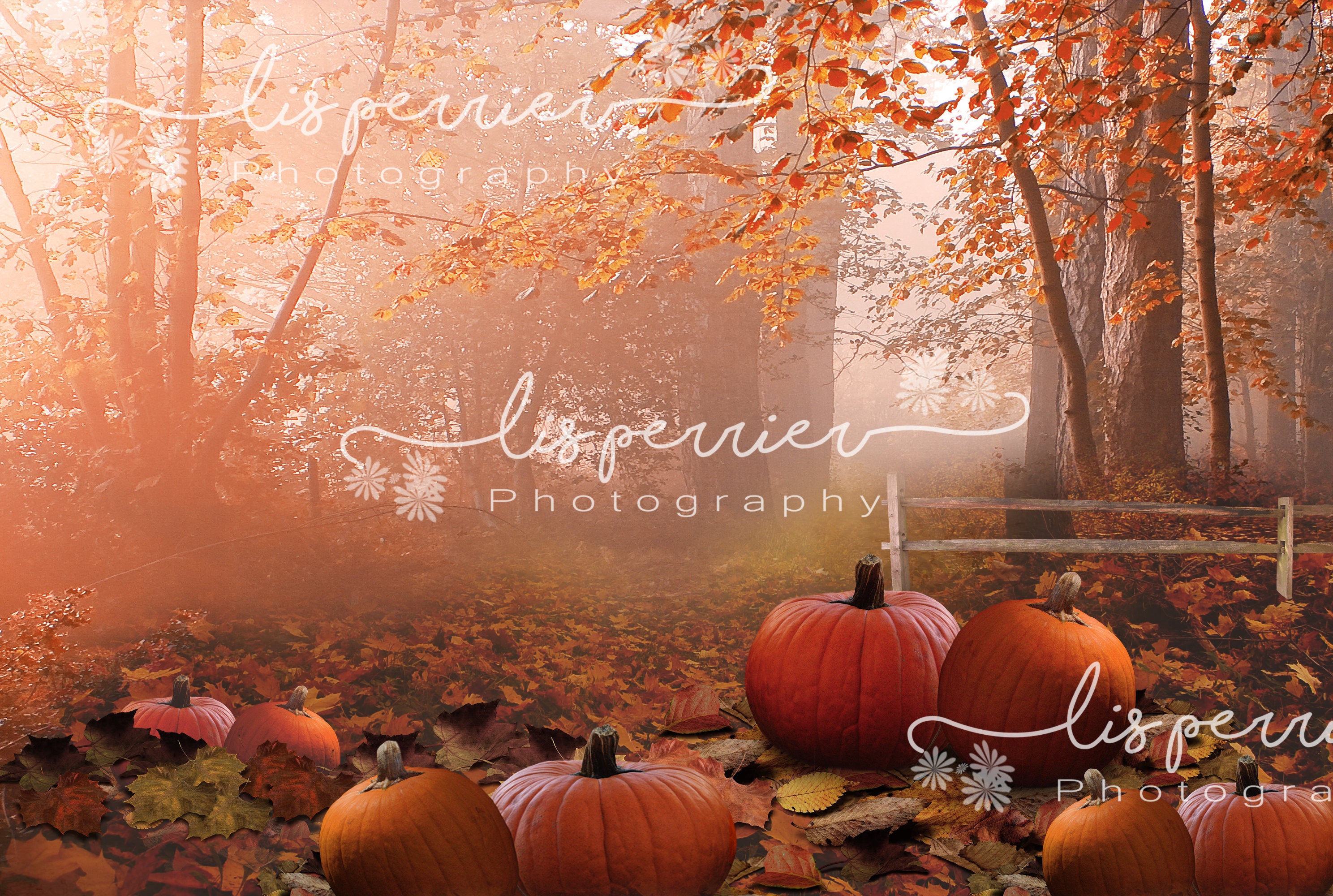 Fall Composite Digital Background - Etsy