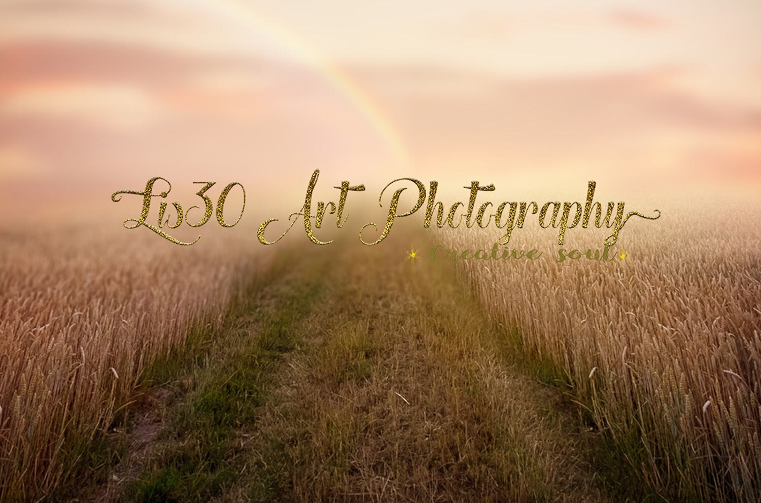 Country Field Digital Background - Etsy