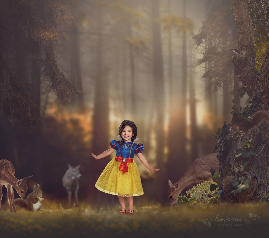 Snow White Digital Background 2/ Digital Composite | Etsy