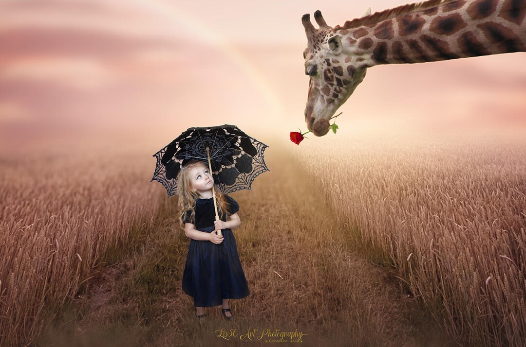 Country Field Digital Background - Etsy