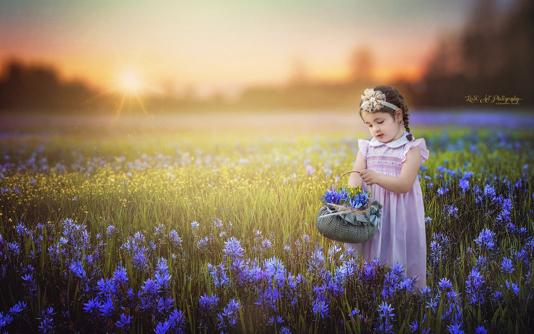 5 Spring Digital Background - Etsy