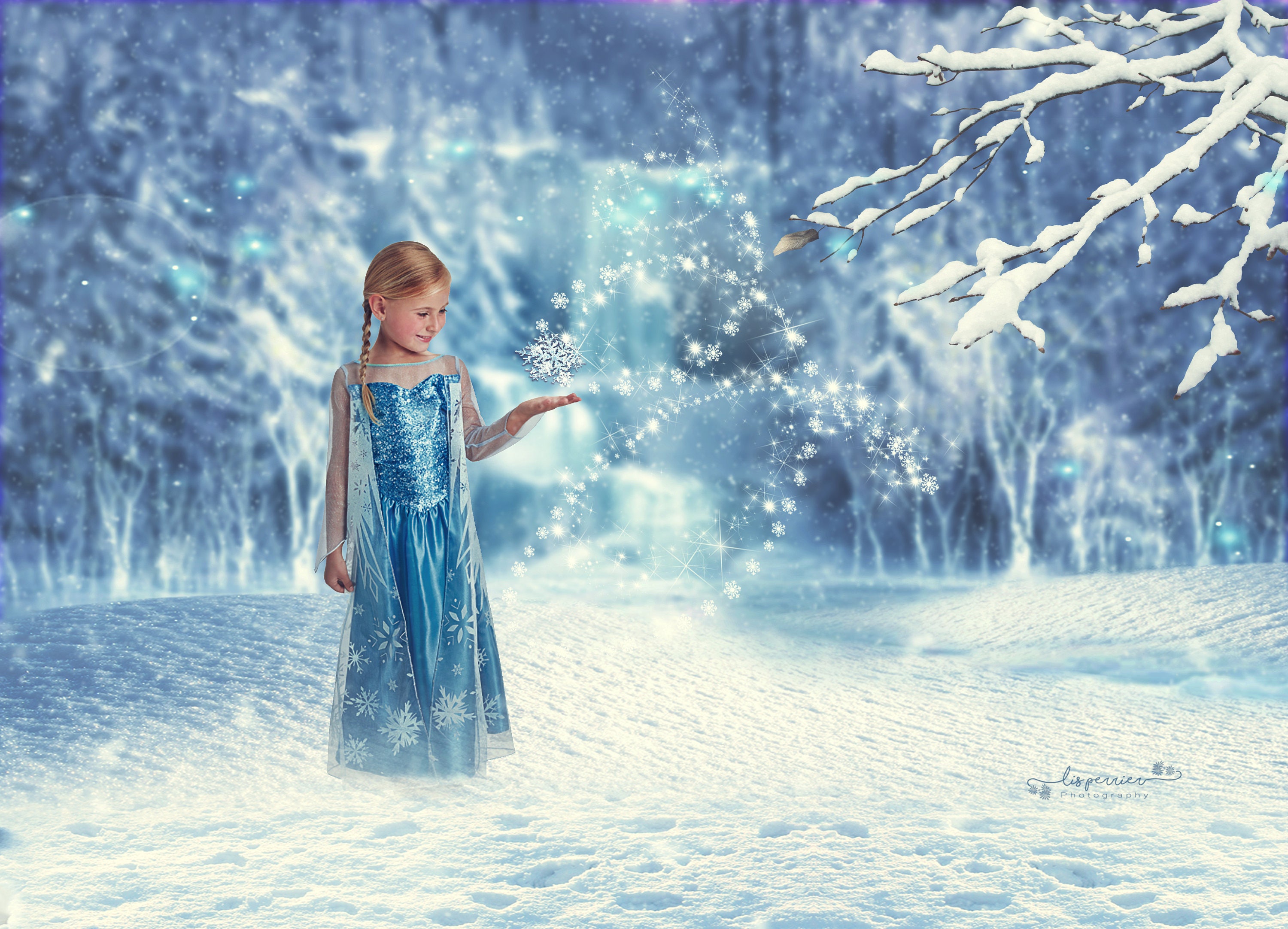 2 Frozen Digital Composite/Digital Background / Frozen | Etsy