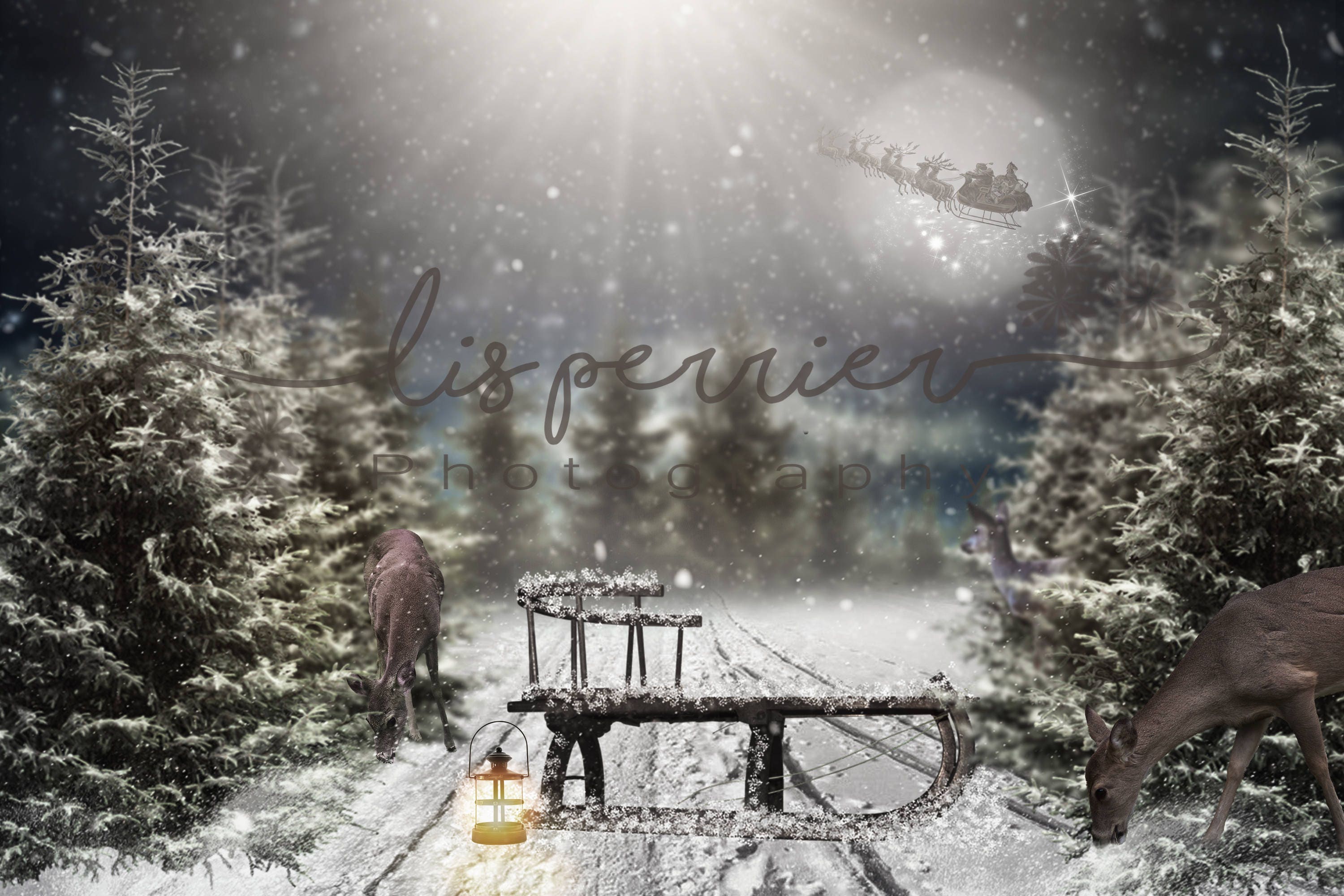 Christmas Digital Background - Etsy