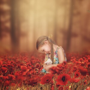 5 Spring Digital Background - Etsy