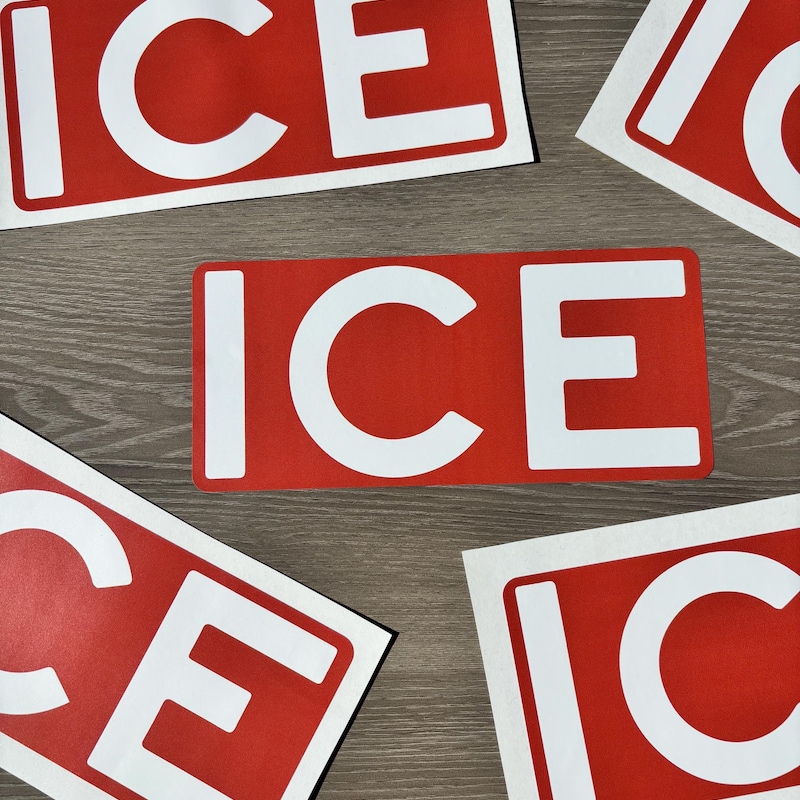 Abolish Ice Magnet Car - Etsy