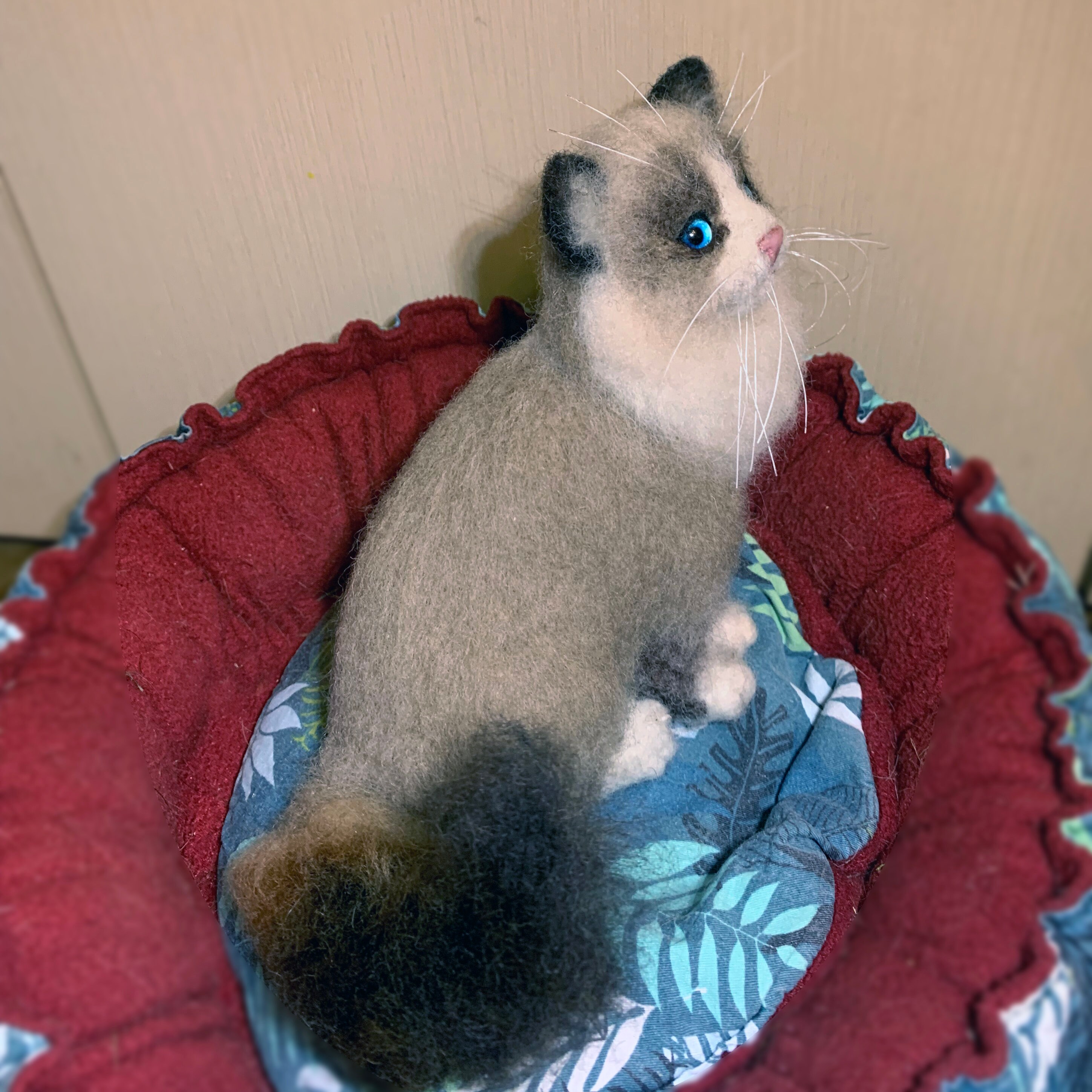 Mini Needle Felted Ragdoll Cat - Etsy