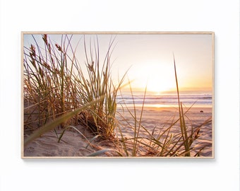 Tropical Beach Wall Art Aerial Beach Print Coastal Poster | Etsy