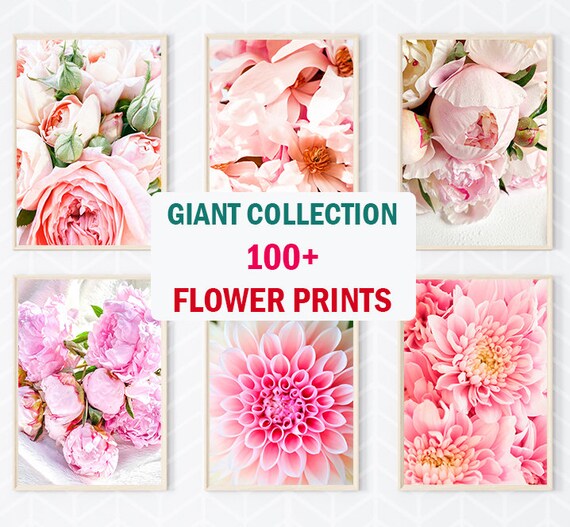 Set of 100 Flowers Wall Art Print Flower Photo Flower | Etsy