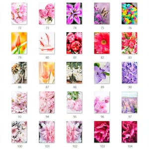 Set of 100+ Flowers Wall Art Print, Flower Photo, Flower Digital Print ...
