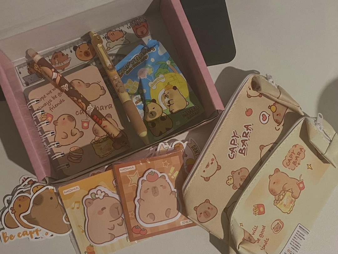 Capybara Stationery Box| Have a Capybara Christmas !!! | New Year/ Back ...