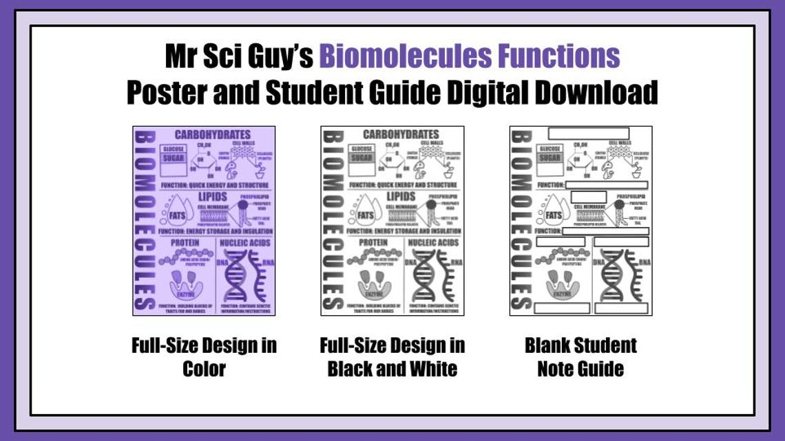 Biomolecules Functions Biology Poster for Classroom With Student Note ...