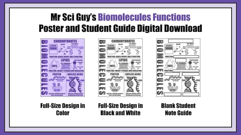 Biomolecules Functions Biology Poster for Classroom With Student Note ...