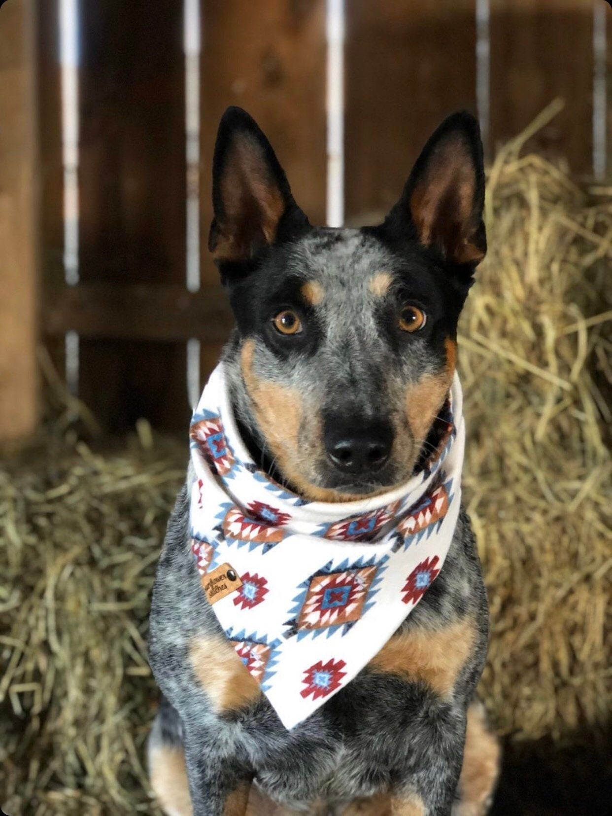 Wilderness Aztec Dog Bandana Tie on Dog Bandana Puppy | Etsy