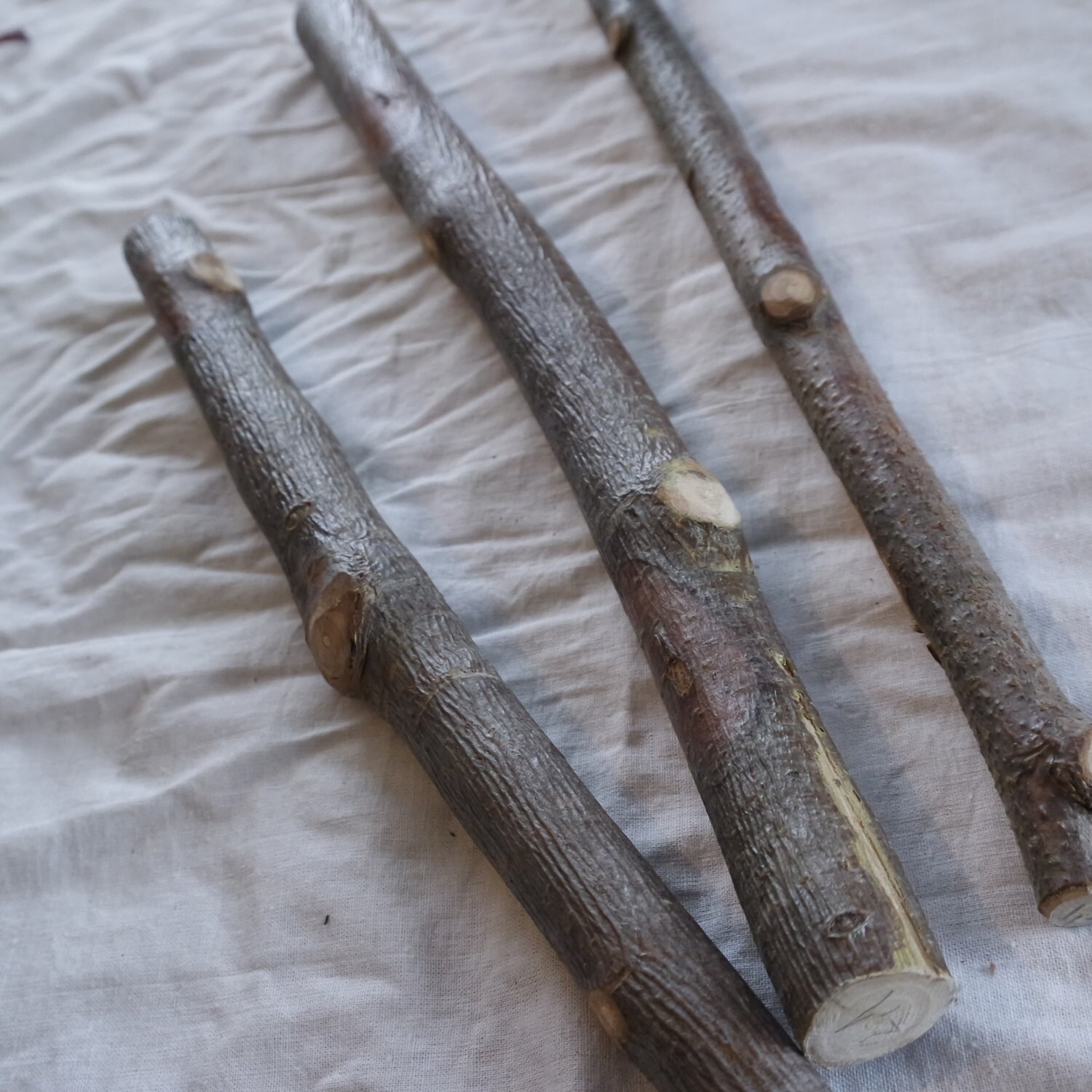 Wood Branch Rowan Stick Large Mountain Ash Stick Wood Craft - Etsy