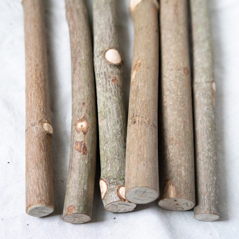 Wood branch Maple stick Large wood stick wood supply for | Etsy