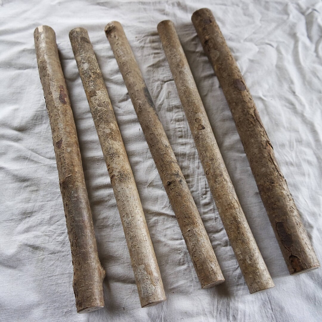 Wood Branch, Hazel Stick, Dried for 2 Years, Natural Wood Supply for ...