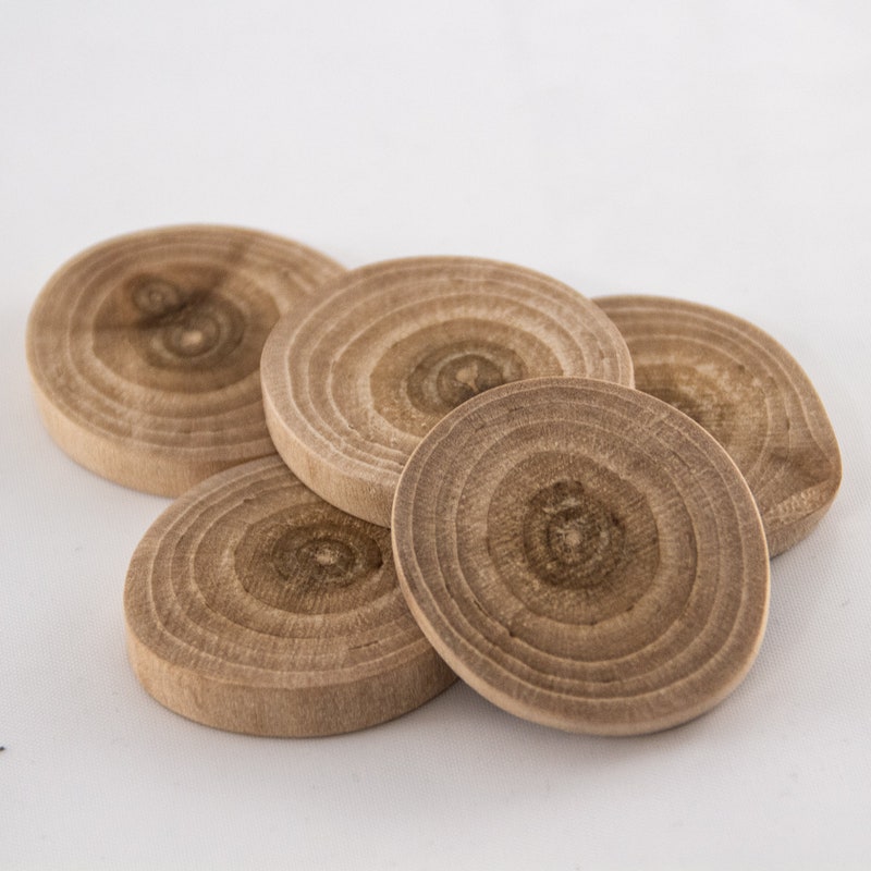 12 Inch Wood Slices - Etsy
