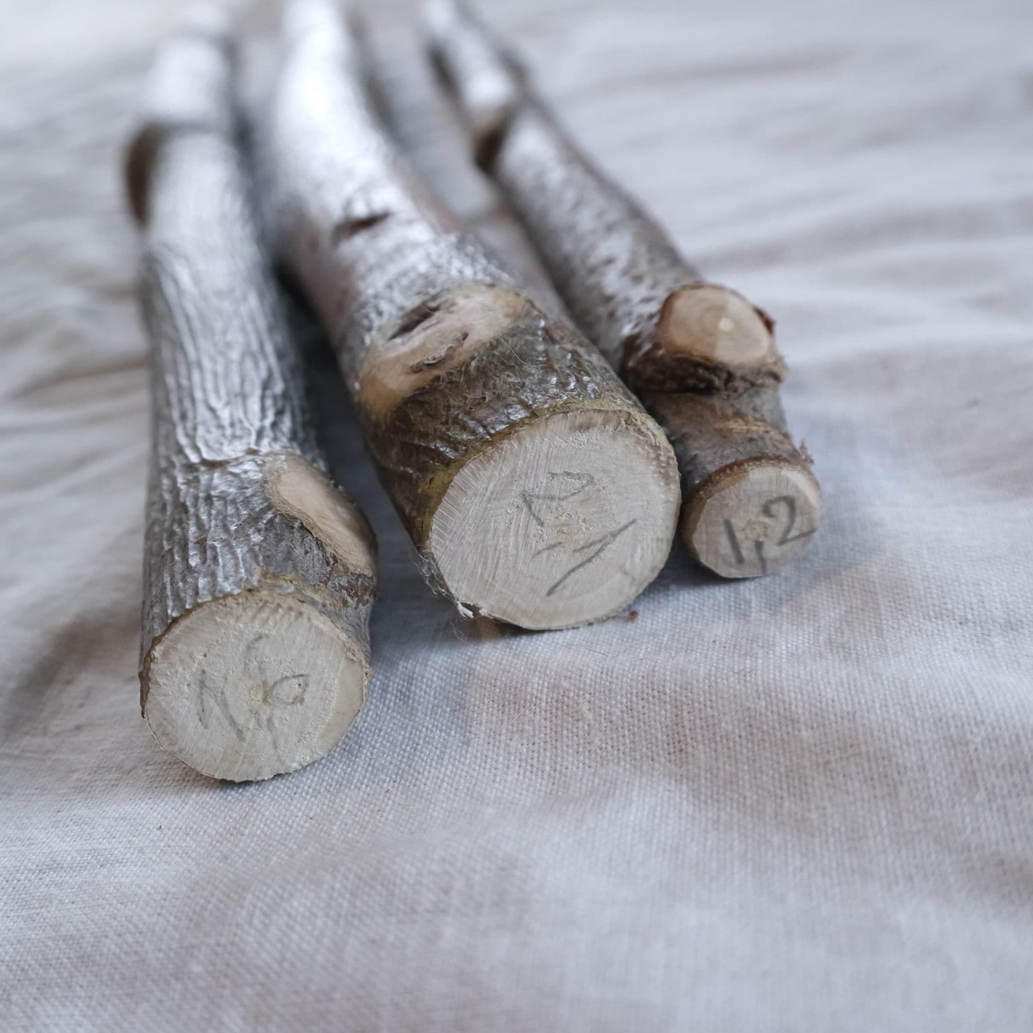 Wood branch Rowan stick Large Mountain ash stick wood craft | Etsy