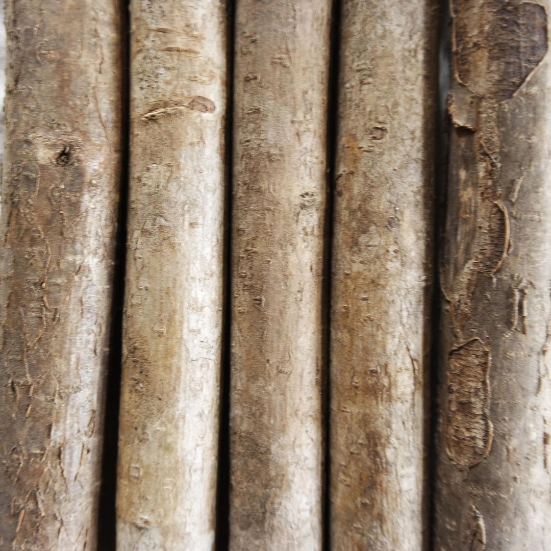 Wood branch, Hazel stick, Dried for 2 years, natural wood supply for ...
