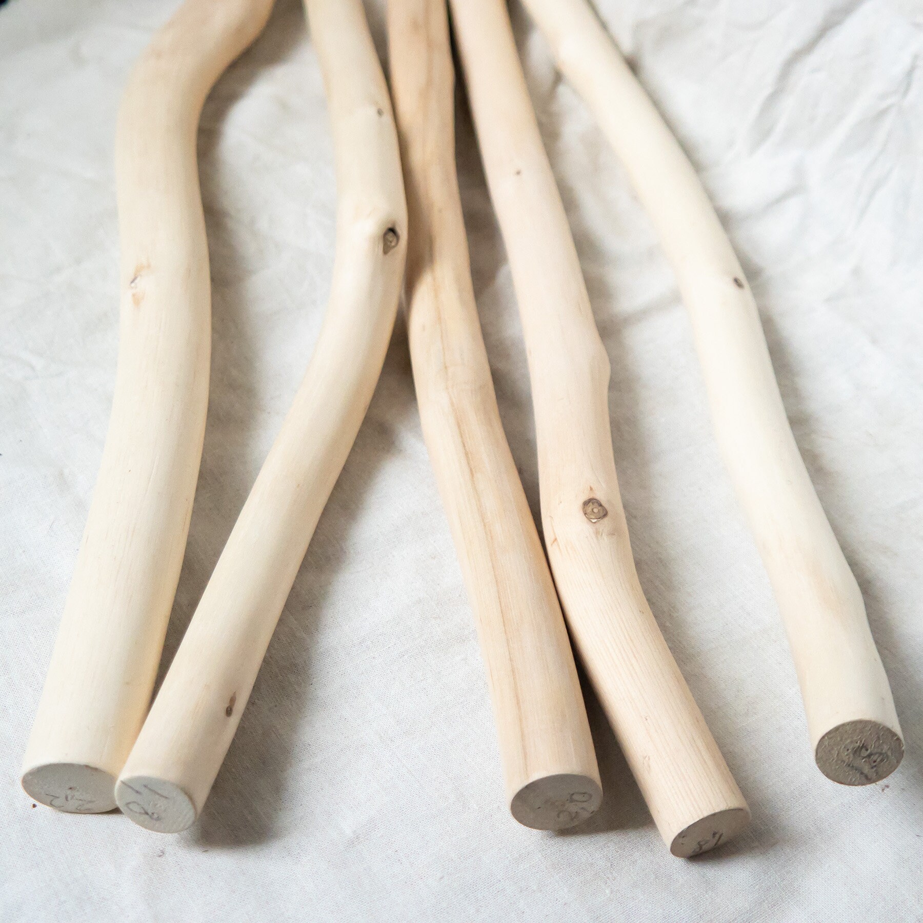 Hazel stick Bent Large wood stick Dried for 2 years wand - Etsy España