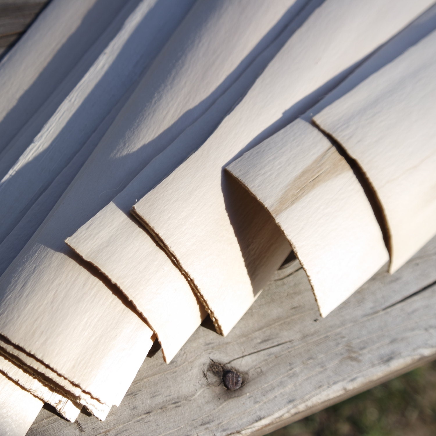 Birch Wood Slices Raw Birch Slices Birch Bark 12pcs or | Etsy