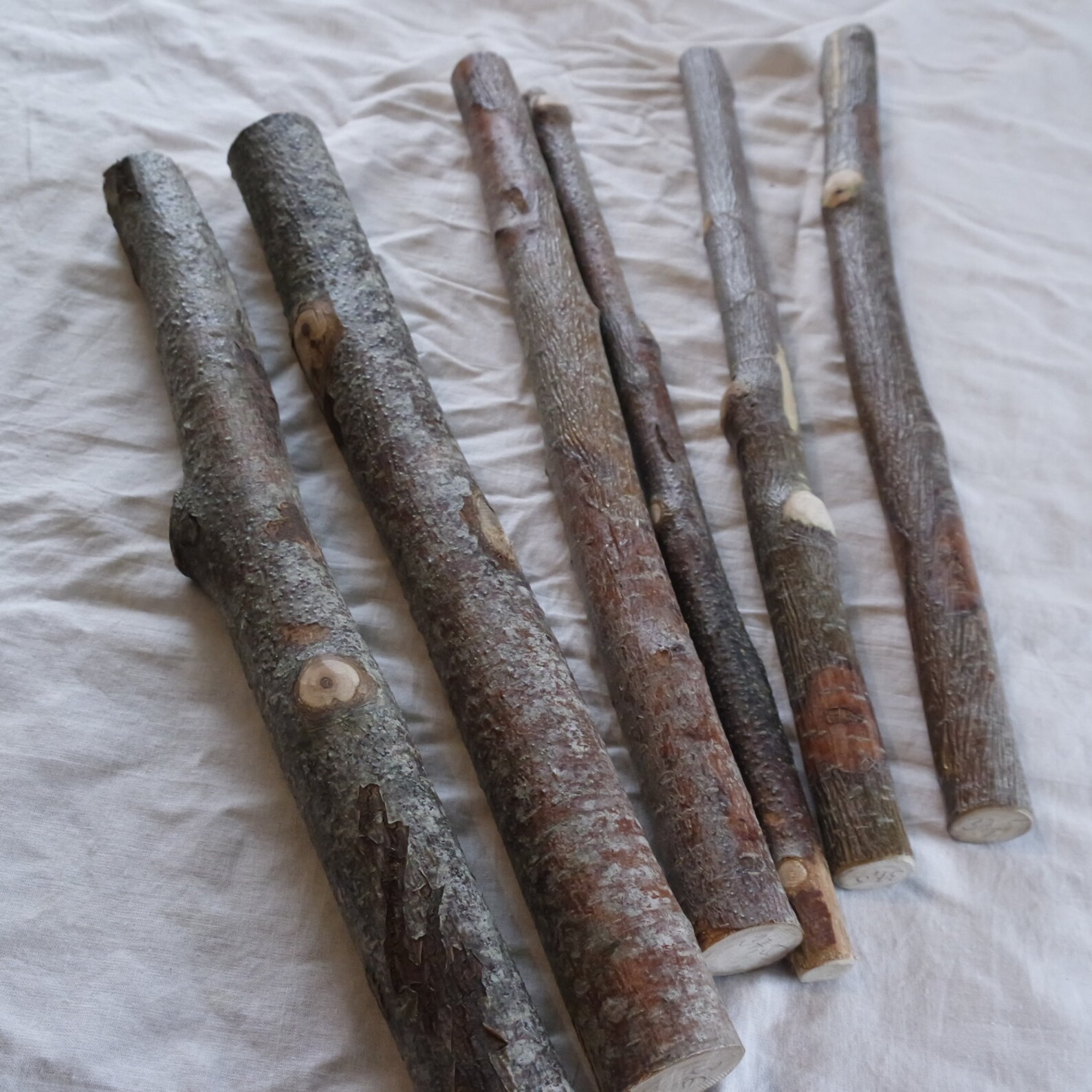 Wood Branch Rowan Stick Large Mountain Ash Stick Wood Craft - Etsy