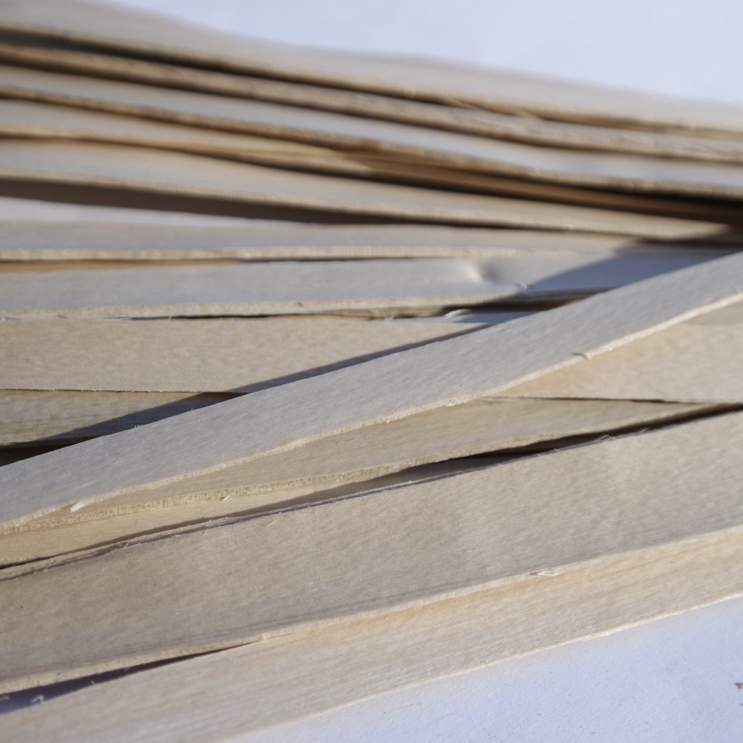 Birch Wood Slices, Raw Birch Slices, Birch Bark, 12pcs or 24pcs ...