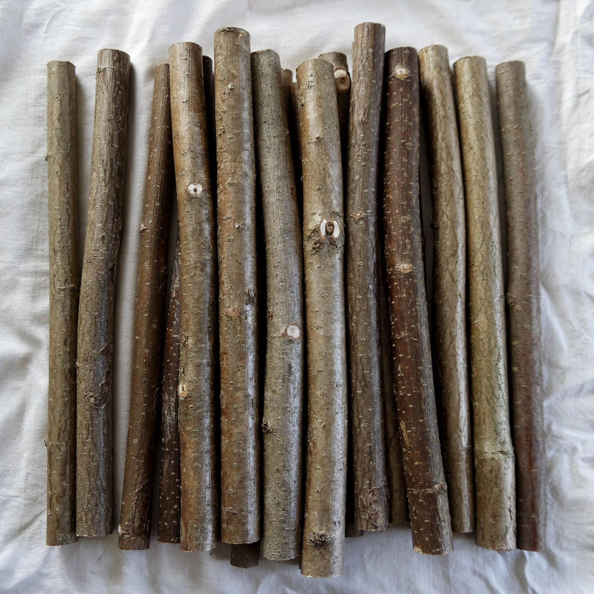 Wood Branch, Hazel Stick, Dried for 2 Years, Natural Wood Supply for ...