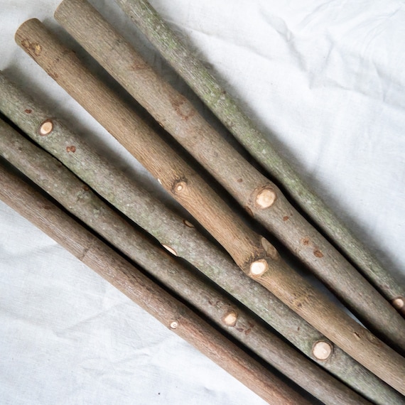 Wood branch Maple stick Large wood stick wood supply for | Etsy