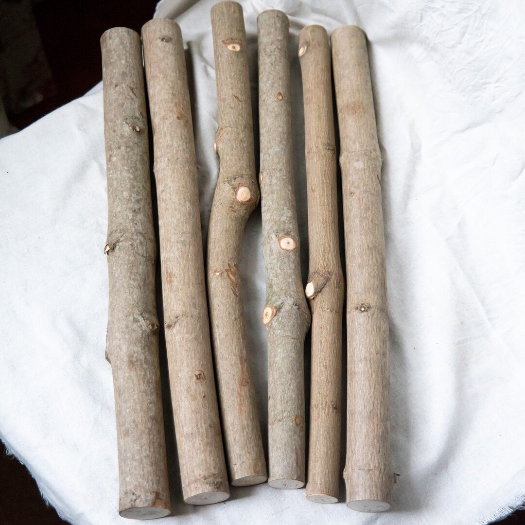 Wood Branch, Maple Stick, Dried for 2 Years, Large Wood Stick, Wood ...