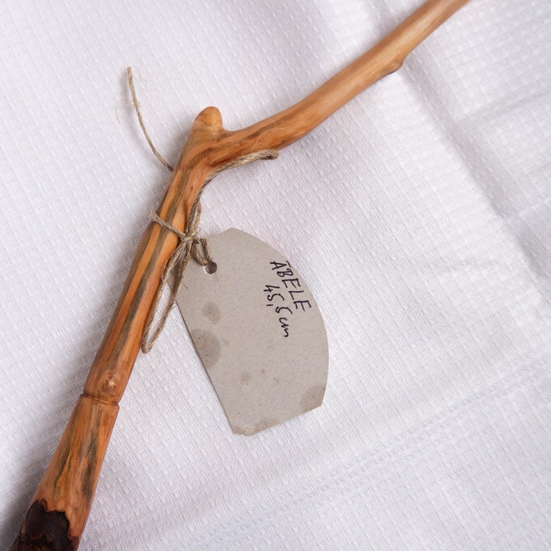 Apple Wand Swirl Apple Wand Energized Wood Wand Carved - Etsy