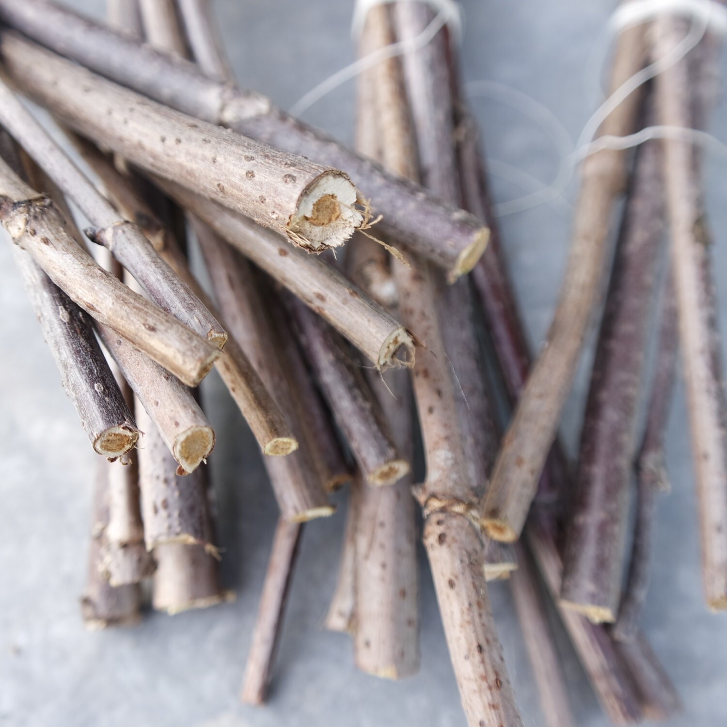 Wood Branch Elder Branches Dried for 1 Year Red Elder - Etsy