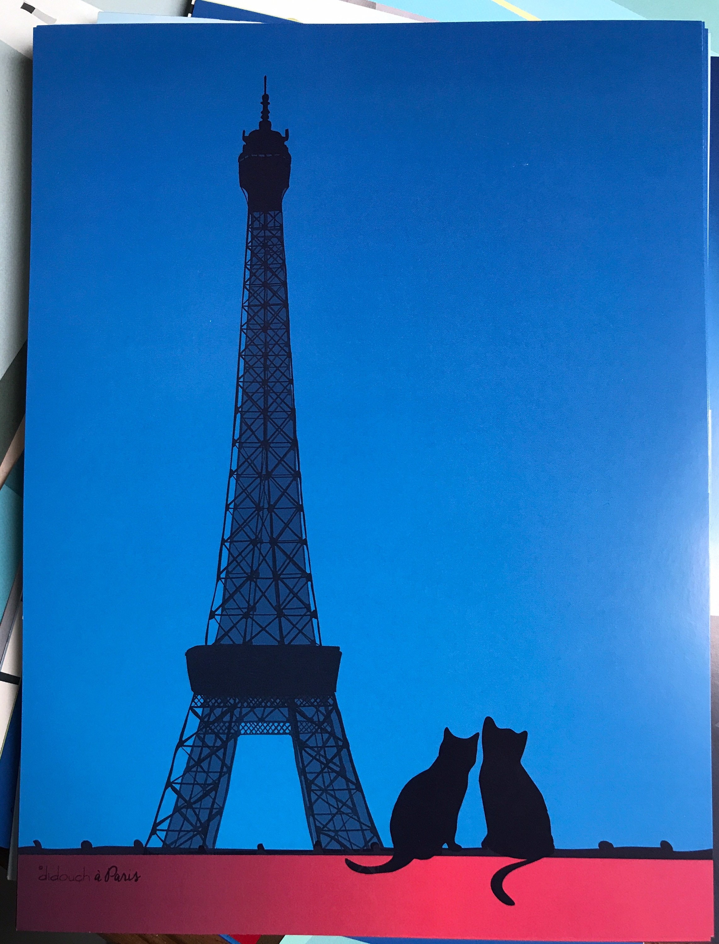 AFFICHE 3 formats Chats de Paris by night - didouch à paris tour Eiffel