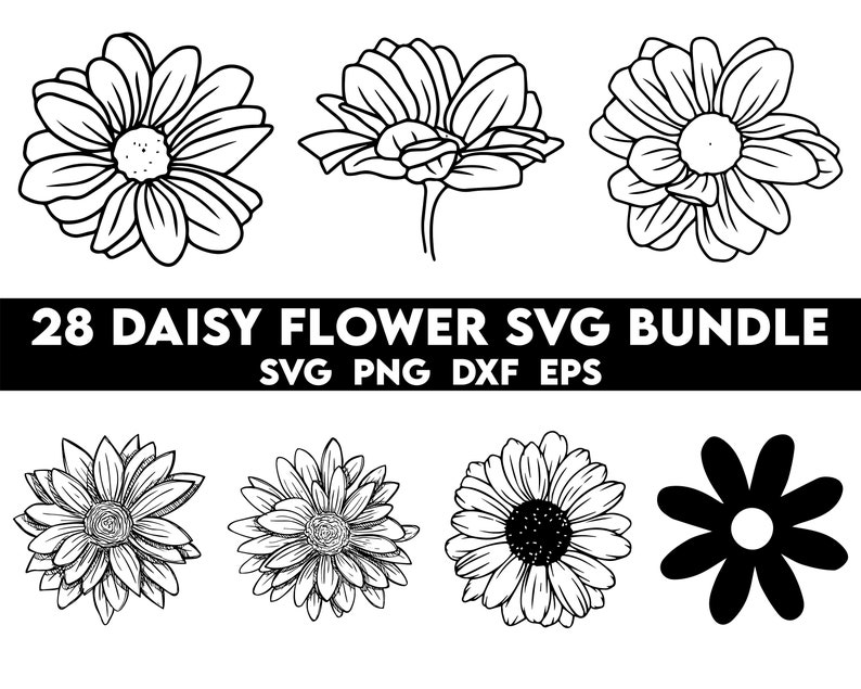 Daisy Flower Svg Bundle, Summer Svg, Daisy Outline SVG, Spring Svg ...