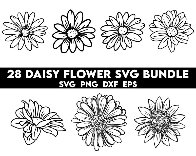 Daisy Flower Svg Bundle, Summer Svg, Daisy Outline SVG, Spring Svg ...