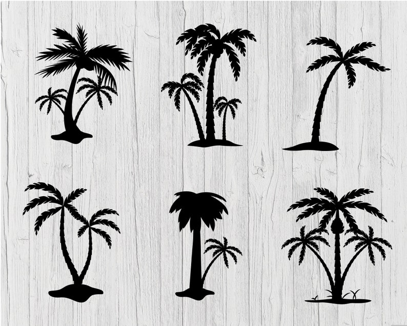 Palm Tree SVG Bundle Palm Trees Designs Palm Beech Svg Palm - Etsy