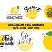 Lemon Svg Bundle, Summer Svg, Summer Svg Bundle, Lemonade Svg, Hello ...