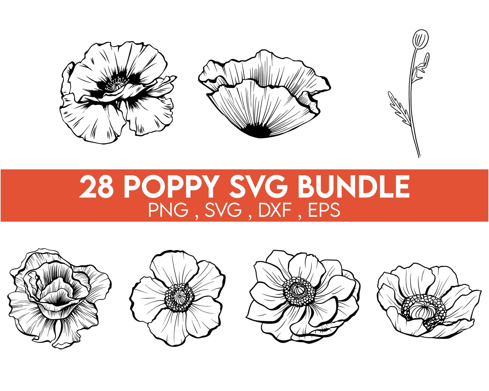 Poppy Svg Bundle Poppy Svg Poppy Wreath Svg Botanical - Etsy