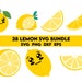Lemon Svg Bundle, Summer Svg, Summer Svg Bundle, Lemonade Svg, Hello ...