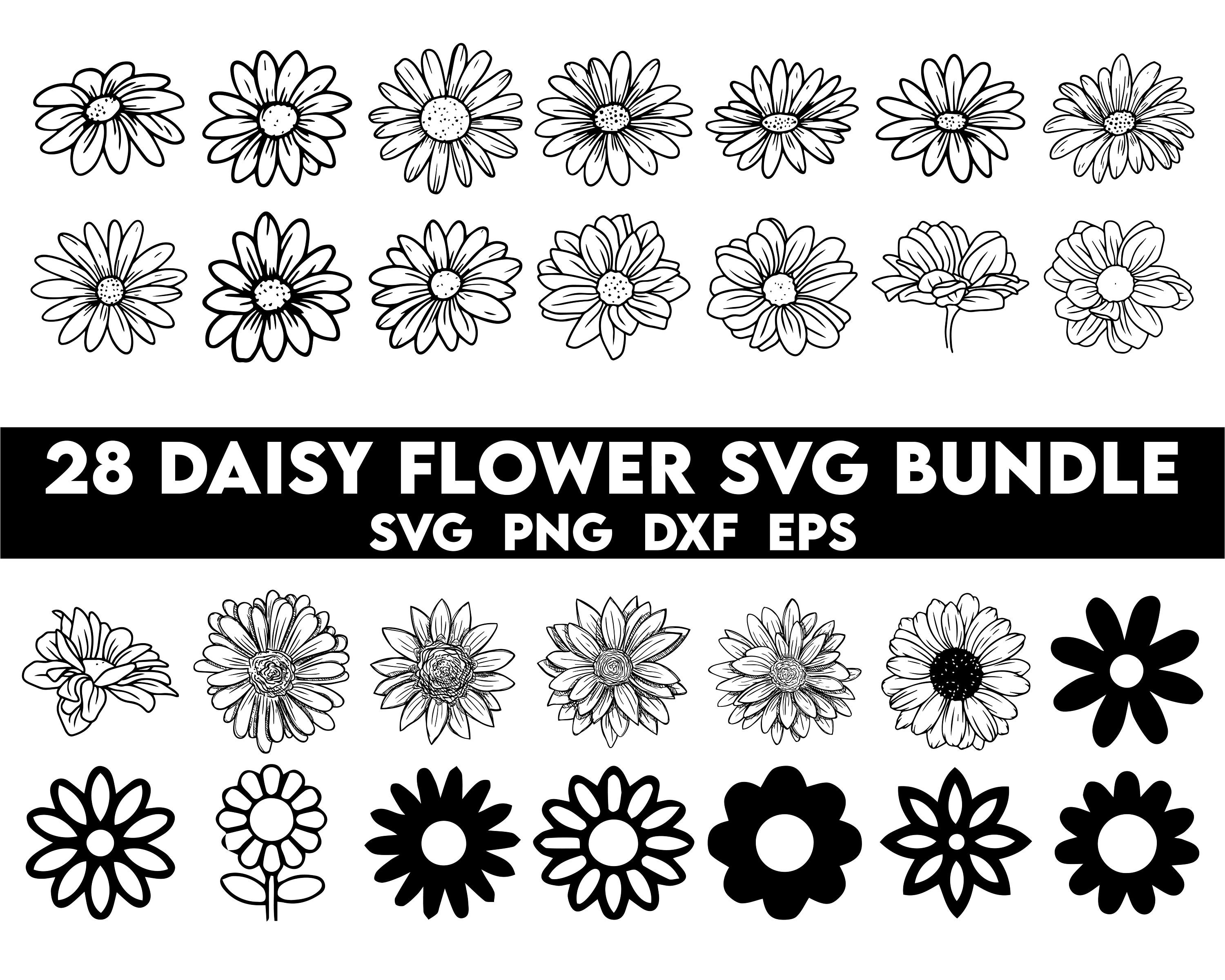 Daisy Flower Svg Bundle, Summer Svg, Daisy Outline SVG, Spring Svg ...