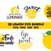 Lemon Svg Bundle, Summer Svg, Summer Svg Bundle, Lemonade Svg, Hello ...