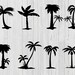 Palm Tree SVG Bundle Palm Trees Designs Palm Beech Svg Palm - Etsy