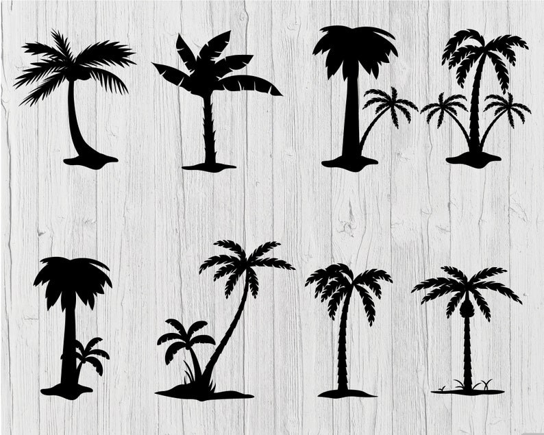 Palm Tree SVG Bundle Palm Trees Designs Palm Beech Svg Palm - Etsy