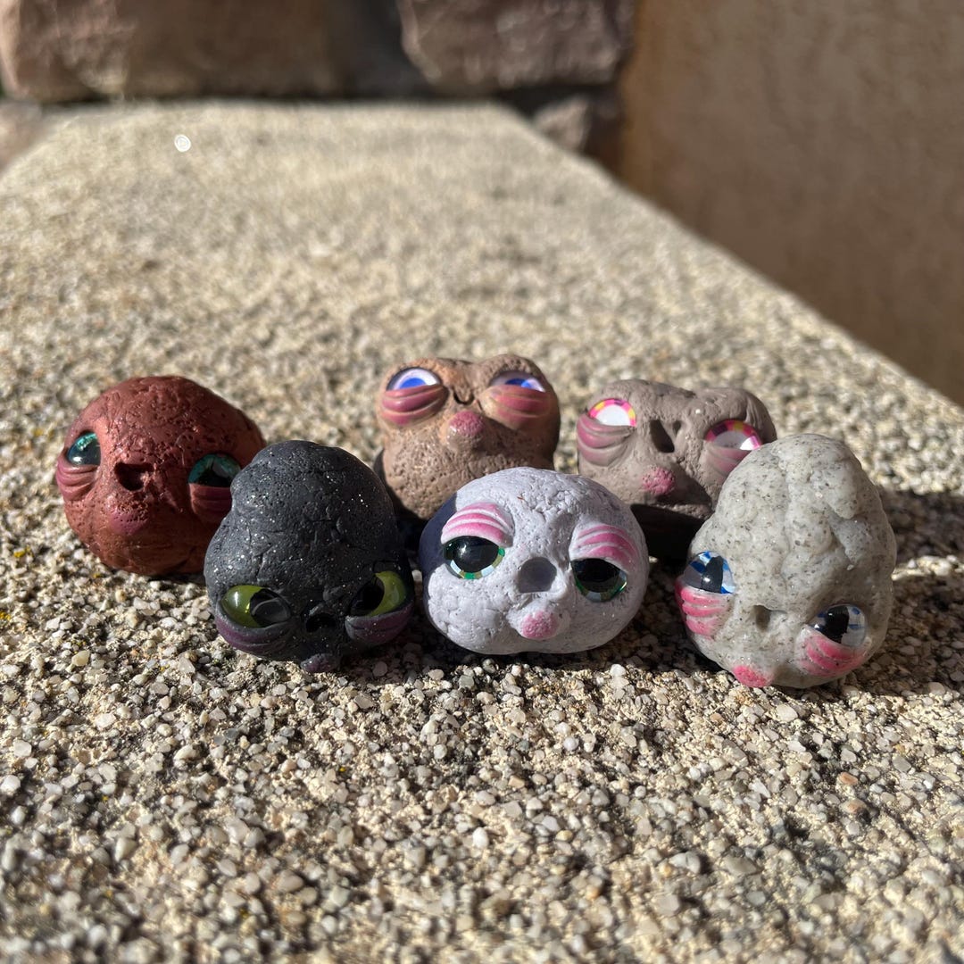 Rock Pal Pet, Rock Pet, Orginal Sculpture, One of a Kind, Handmade Clay ...