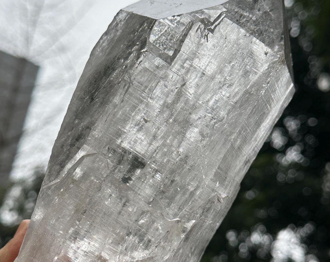 Rare Shining Huge Clear Himalayan Single Spiral Quartz Crystal/record ...