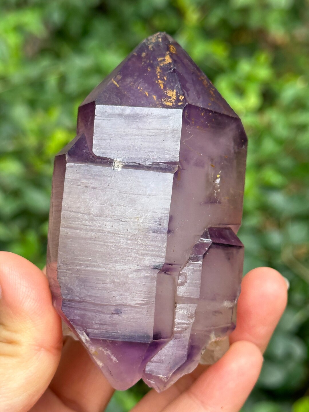 Reservednatural Double Terminated Amethyst Scepter Quartz Grow With ...