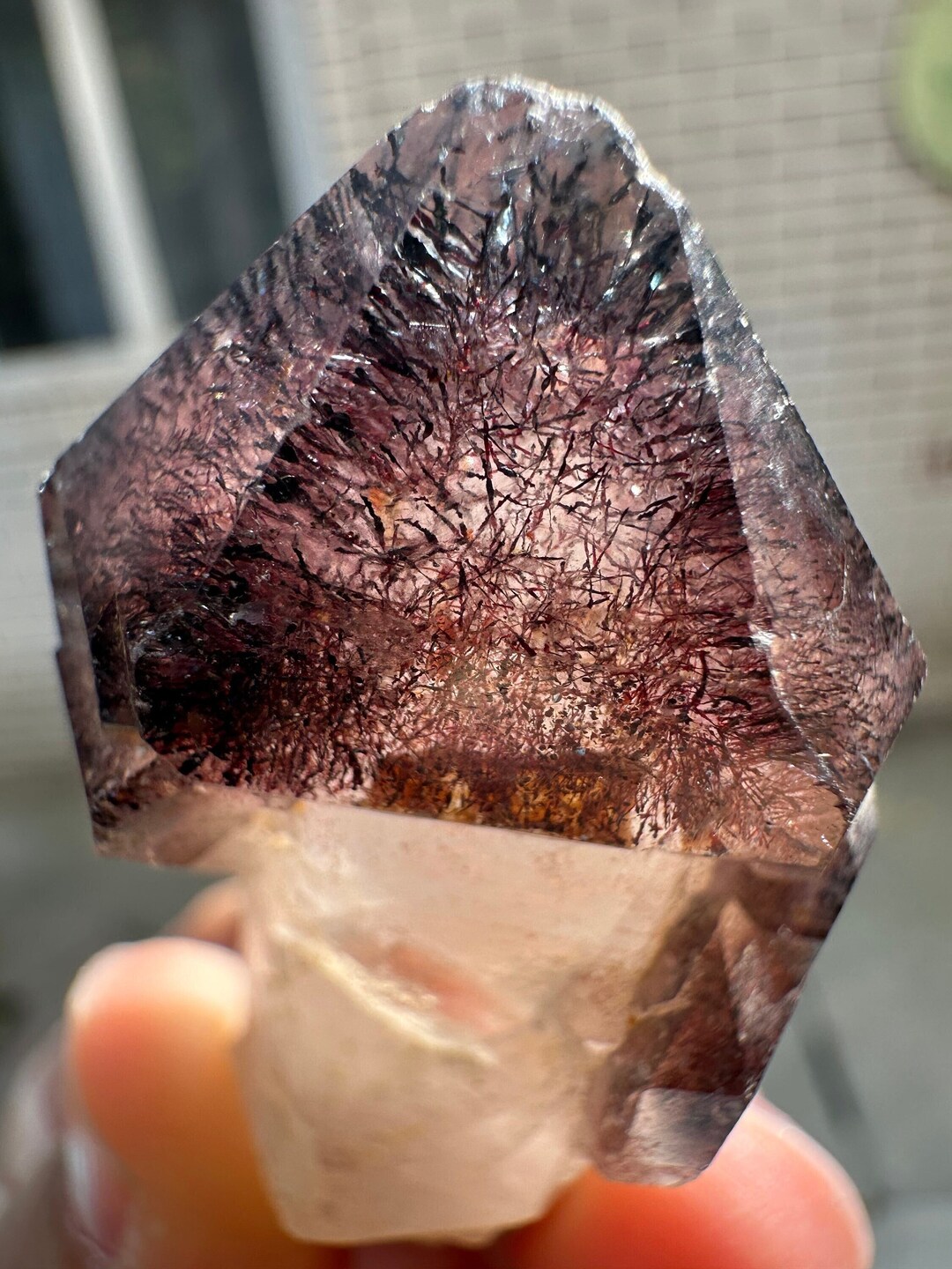 Rough Record-keeper Super 7 Amethyst Scepter Quartz Crystal Point ...