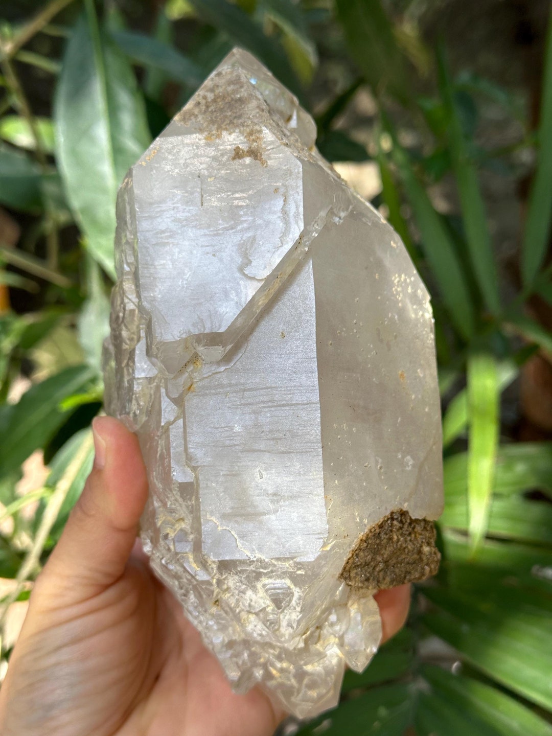 Large Himalayan Double Terminated Skeletal Quartz Single Crystal Point ...