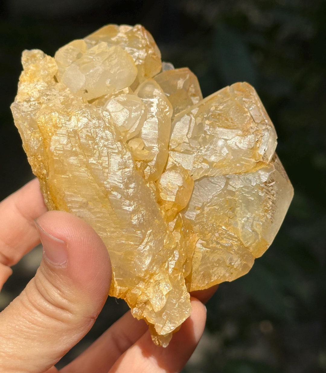 Rare Golden Himalayan Quartz Skeletal Crystal Cluster/tibet Energy ...