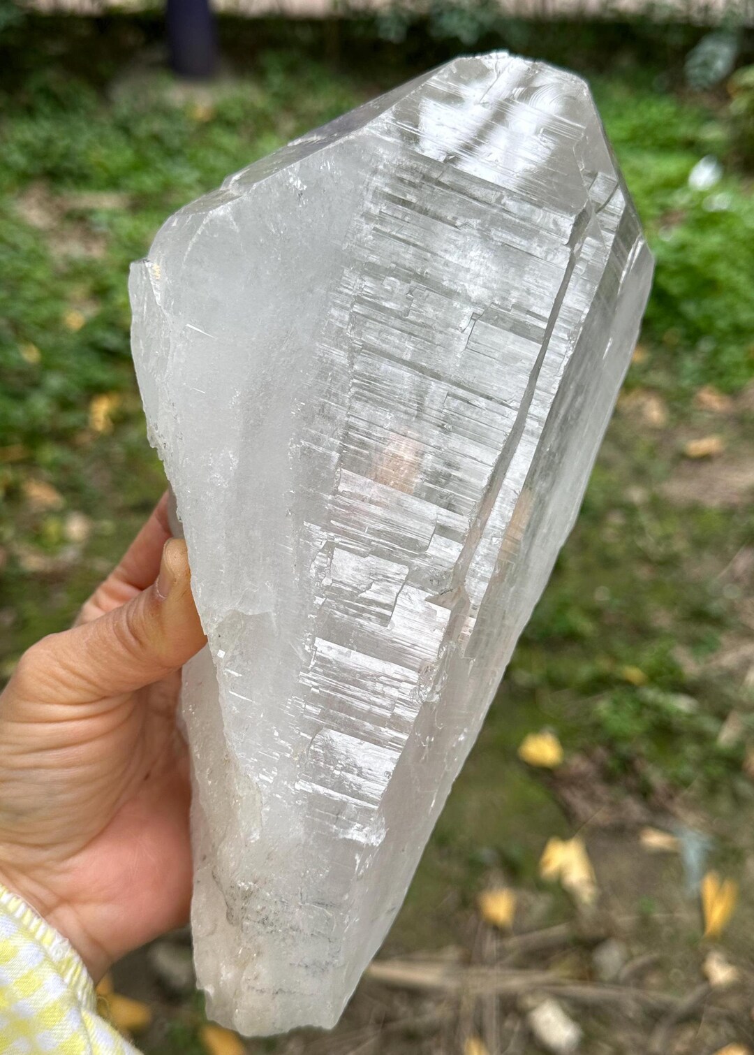 Rare Large Clear Himalayan Single Spiral Quartz Crystal/double ...